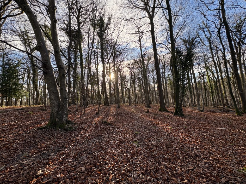 A sense of place – I want my life back